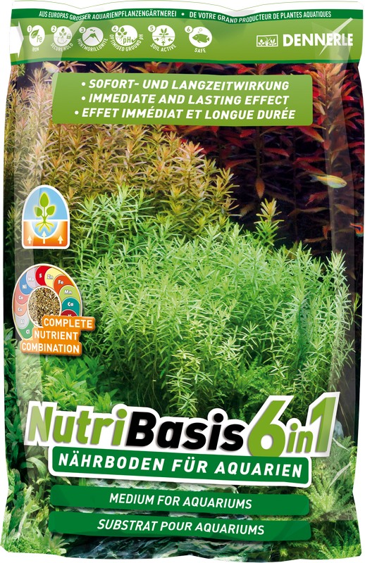 Choosing an Aquarium Substrate - My Aquarium Fish